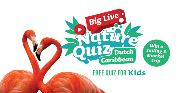 Students from Saba Sacred Heart winners of the Big Live Nature Quiz ...