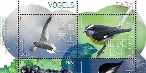PostNL publishes postal stamps focussing on Saba birds – Saba News